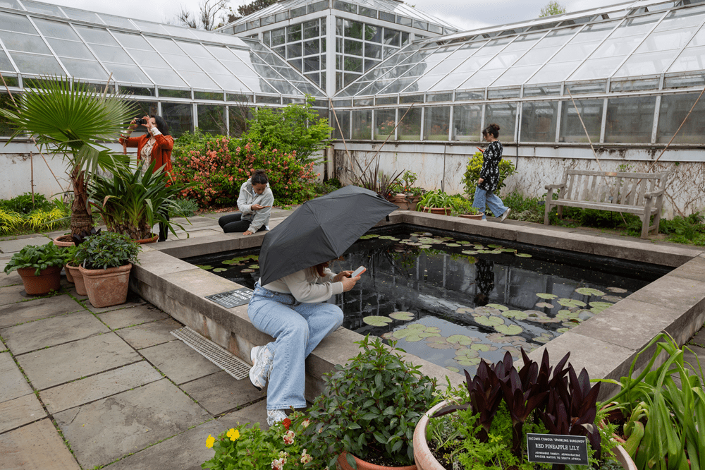 Events Calendar | Snug Harbor